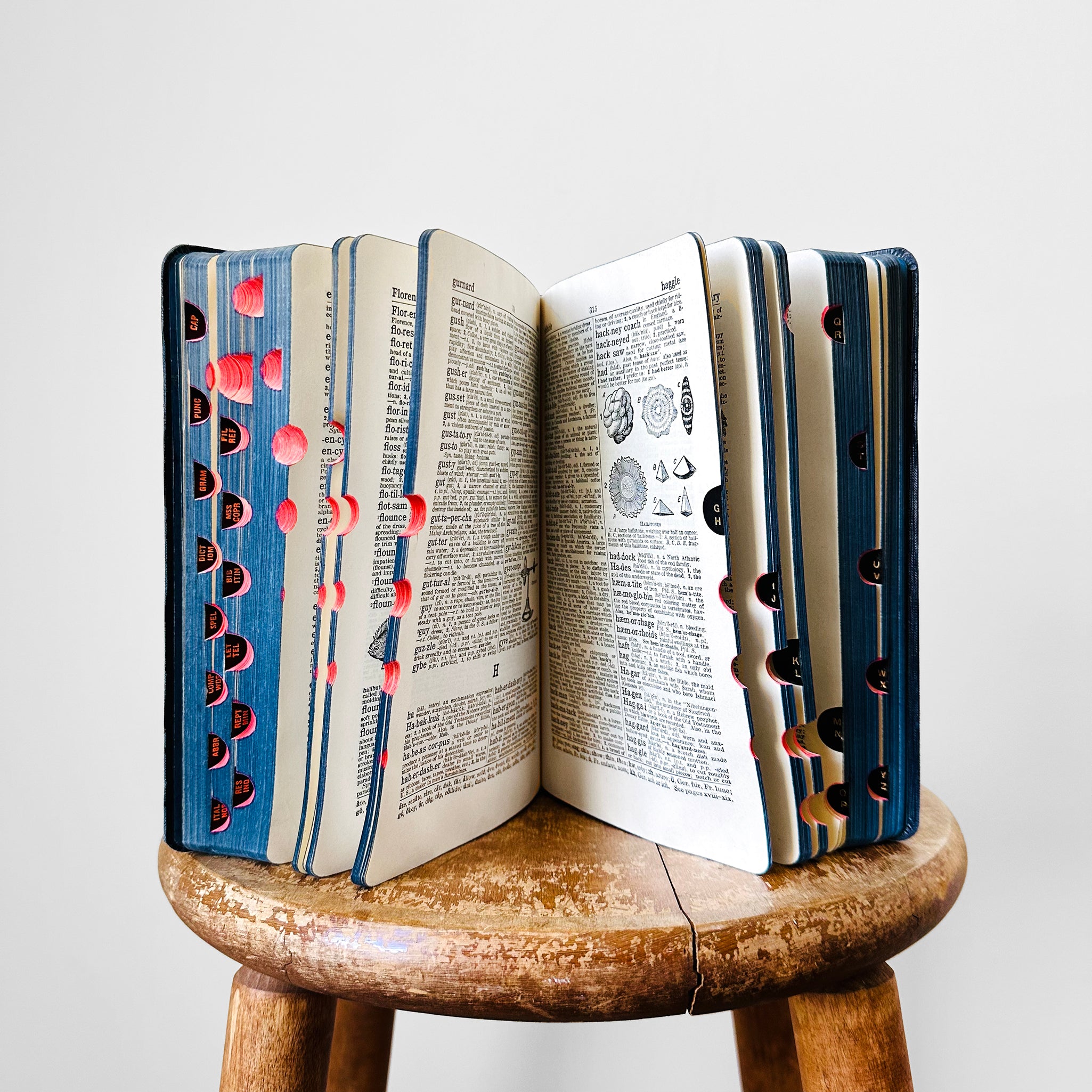 1940s Illustrated The Secretary's Desk Book – Box & Burrow Vintage